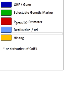 File:Legend.png - SubtiWiki