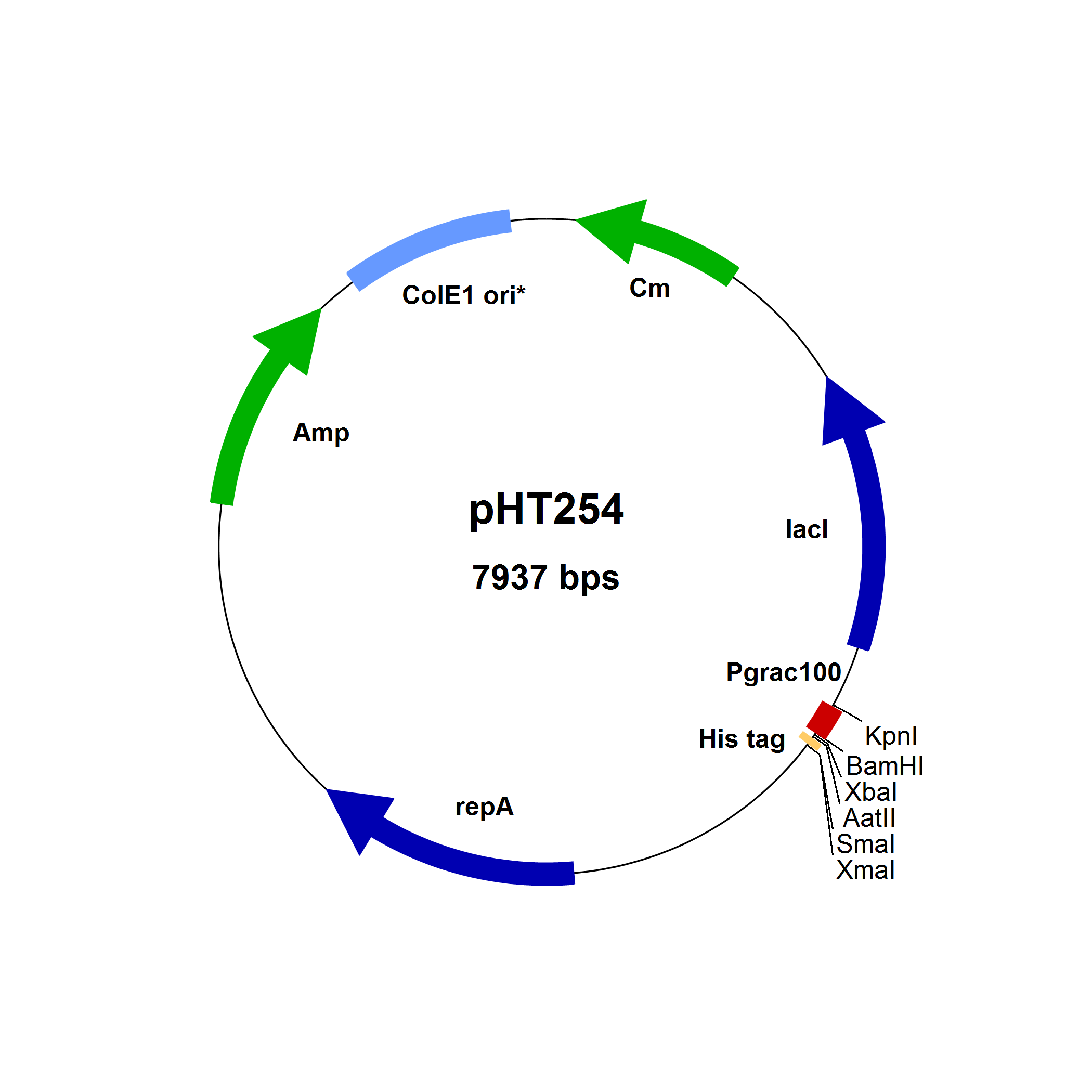 File:PHT254.PNG - SubtiWiki