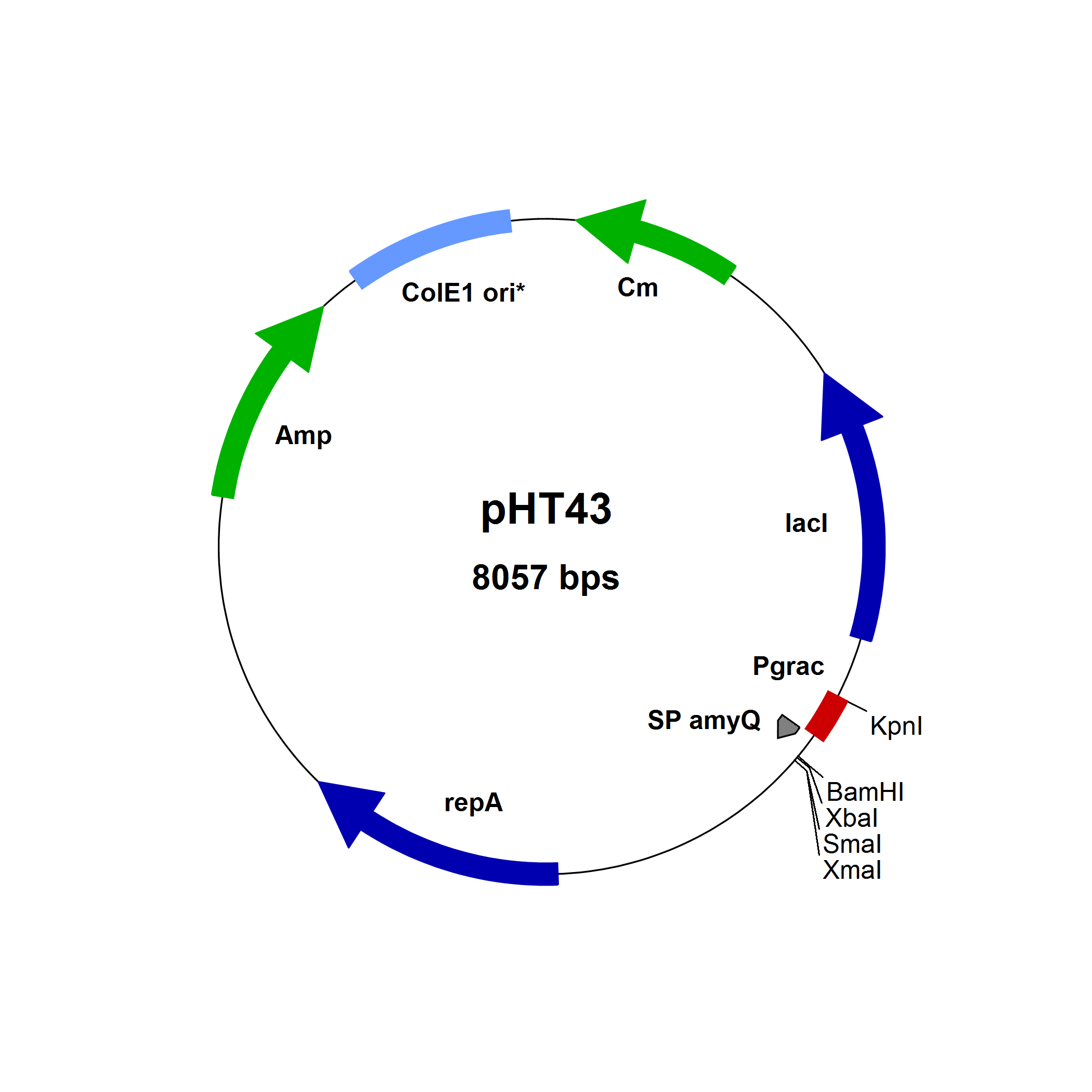 PHT43 - SubtiWiki