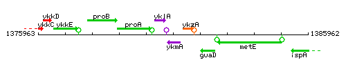 File:YkmA context.gif - SubtiWiki